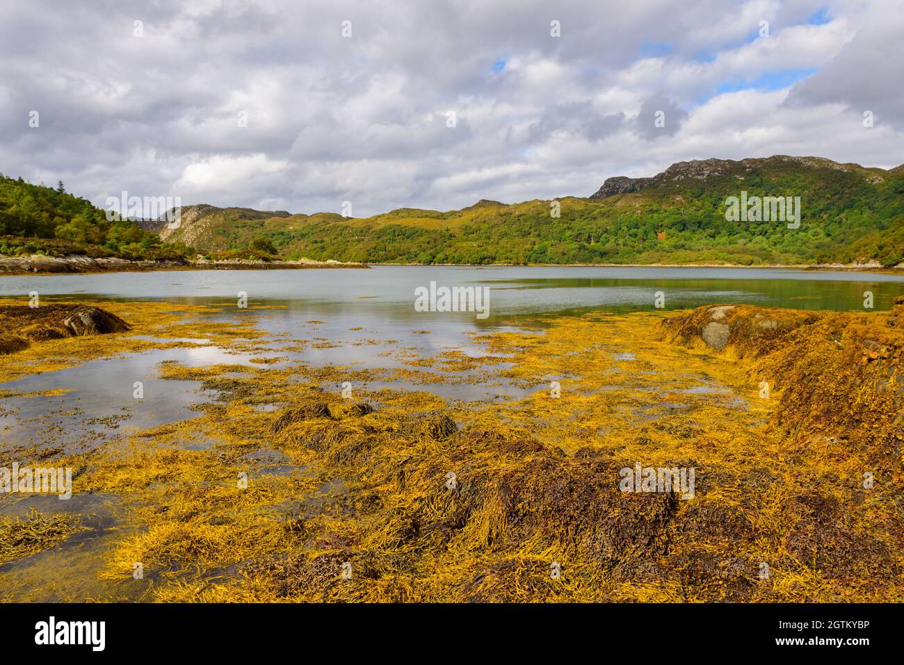 Loch moidart scotland hi-res stock photography and images - Alamy
