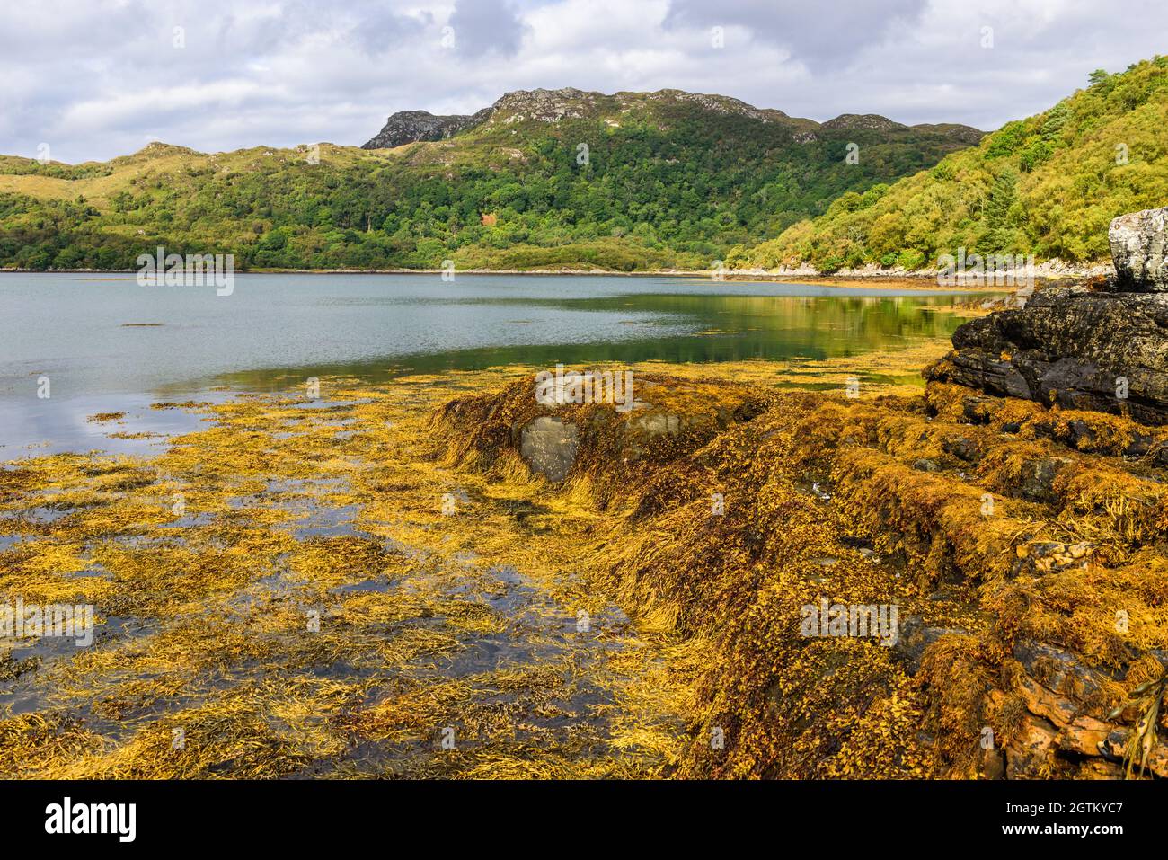 Loch moidart scotland hi-res stock photography and images - Alamy