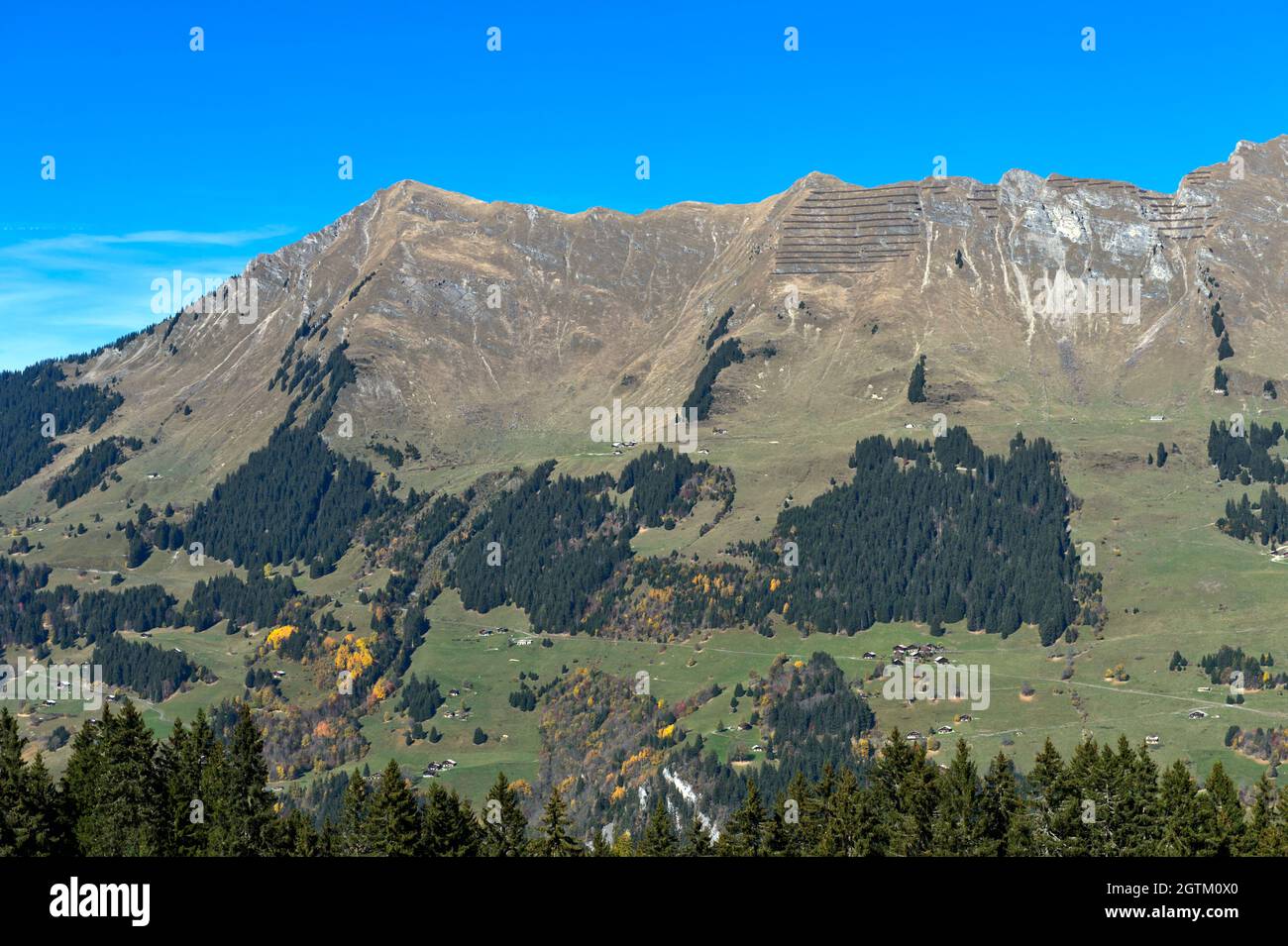 Mountain Landscape Of The Vaudois Alps On The Tree Line Near Les ...
