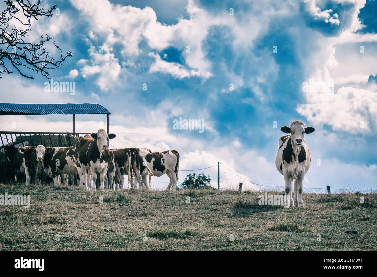 Evaluating the landscape hi-res stock photography and images - Alamy