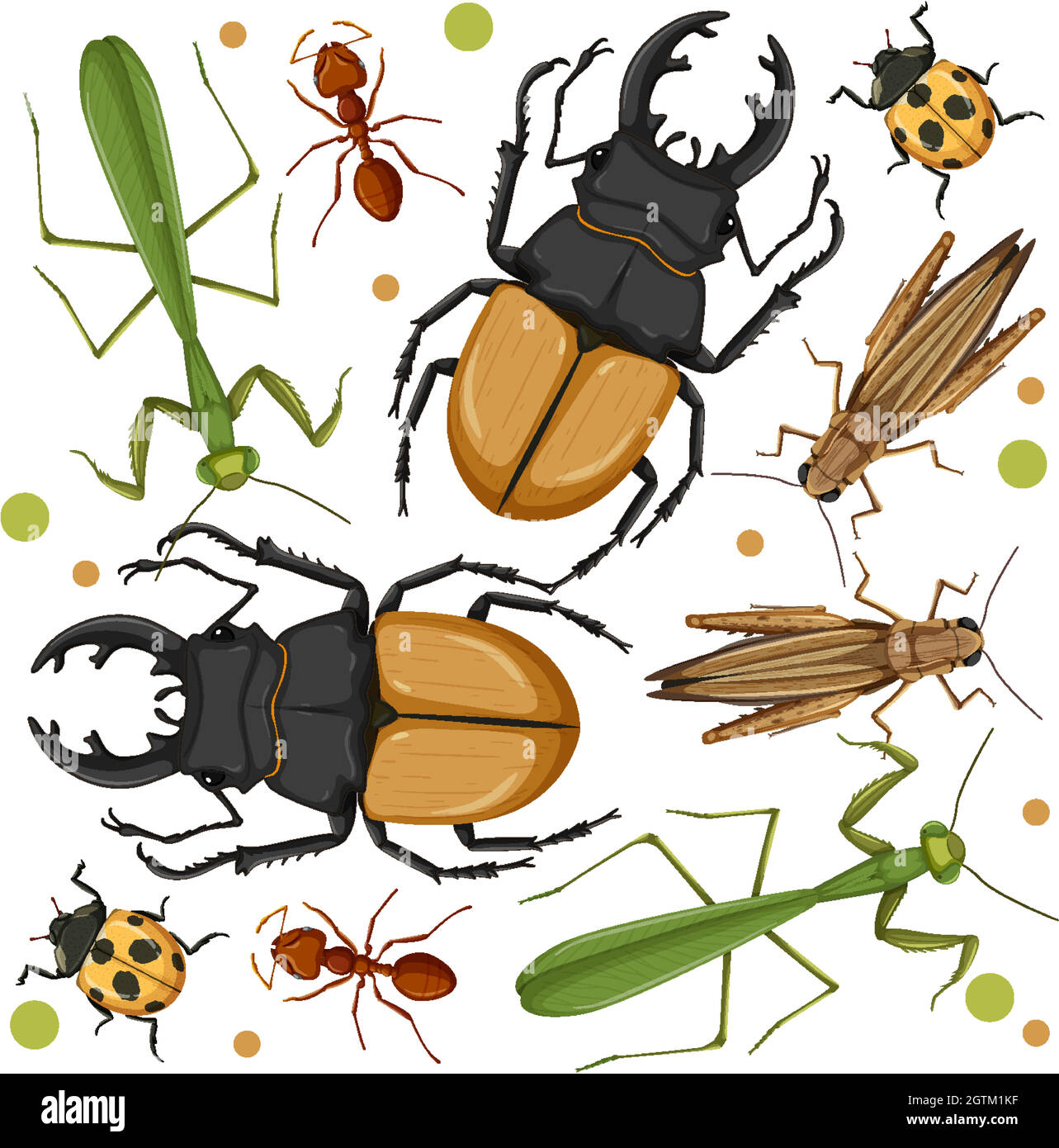 Set of different insects on white background Stock Vector Image & Art ...