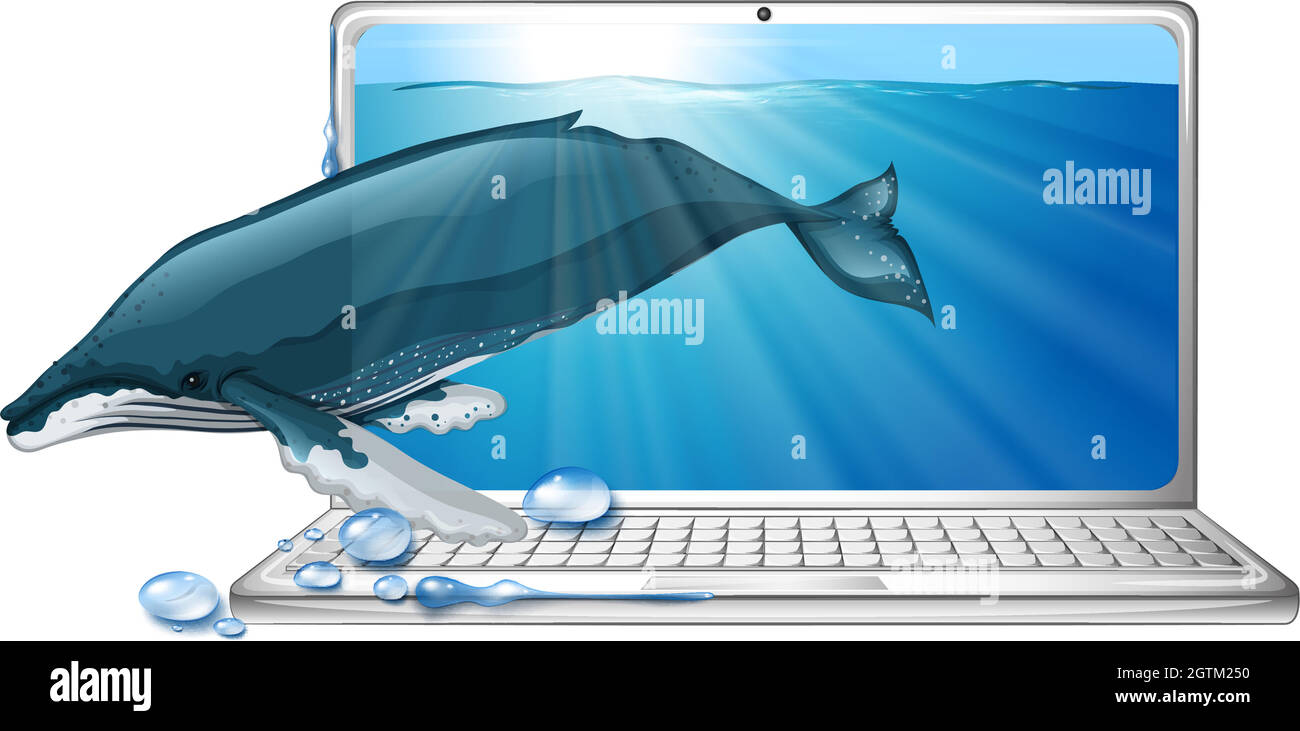 Whale under the sea on computer screen Stock Vector Image & Art - Alamy