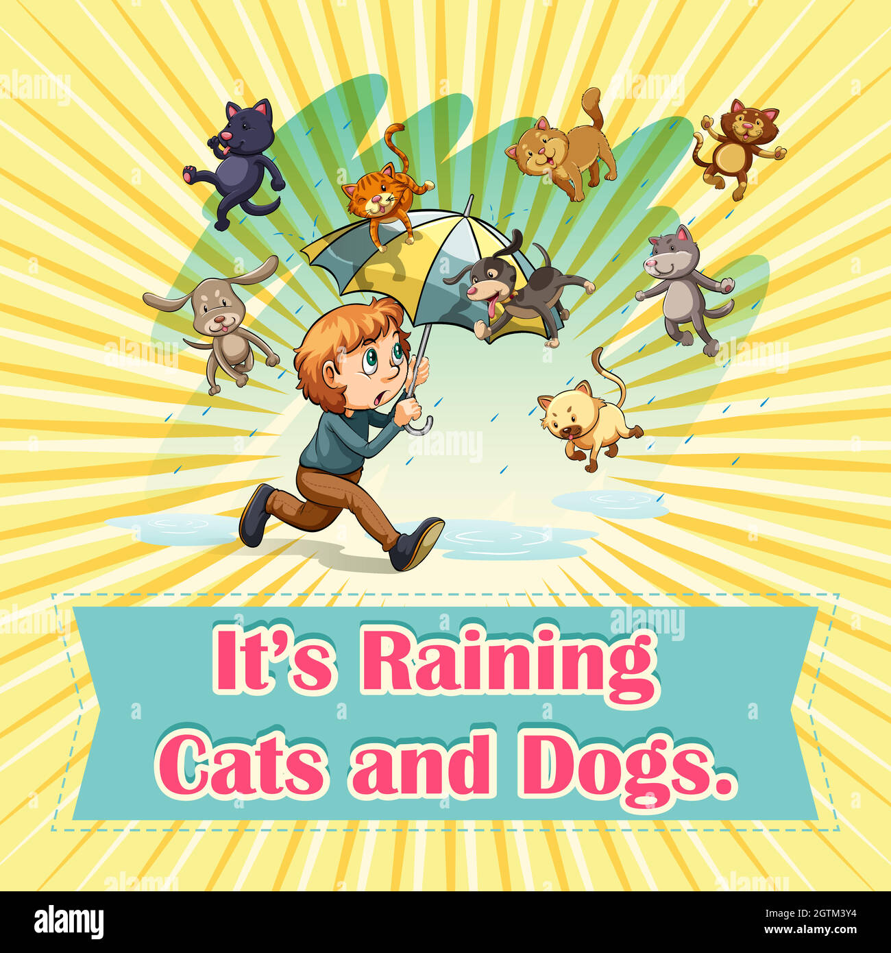 Raining cats and dogs hi-res stock photography and images - Alamy