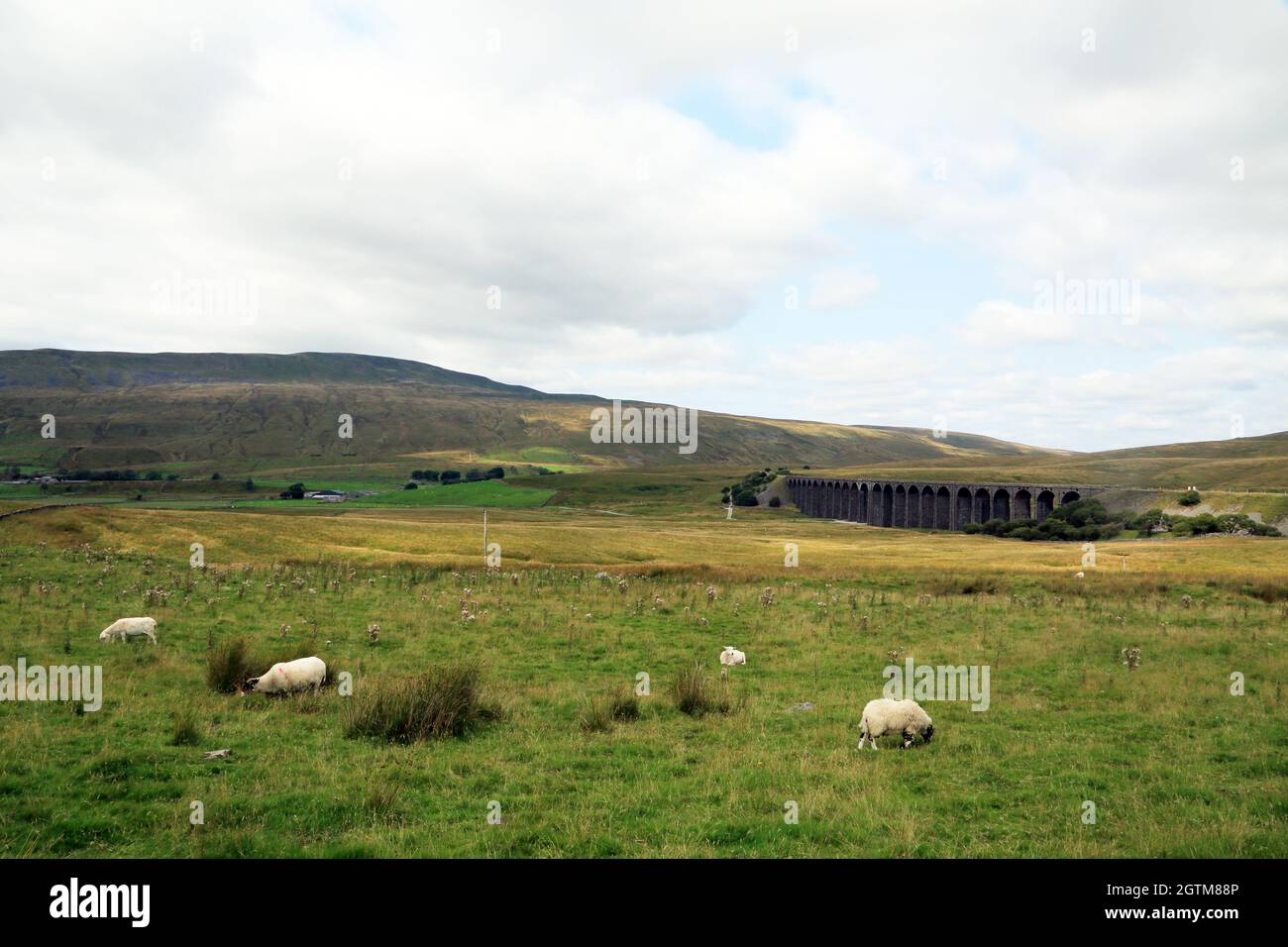 View of Ribblehead viaduct and Whernside from Low Sleights Road ...