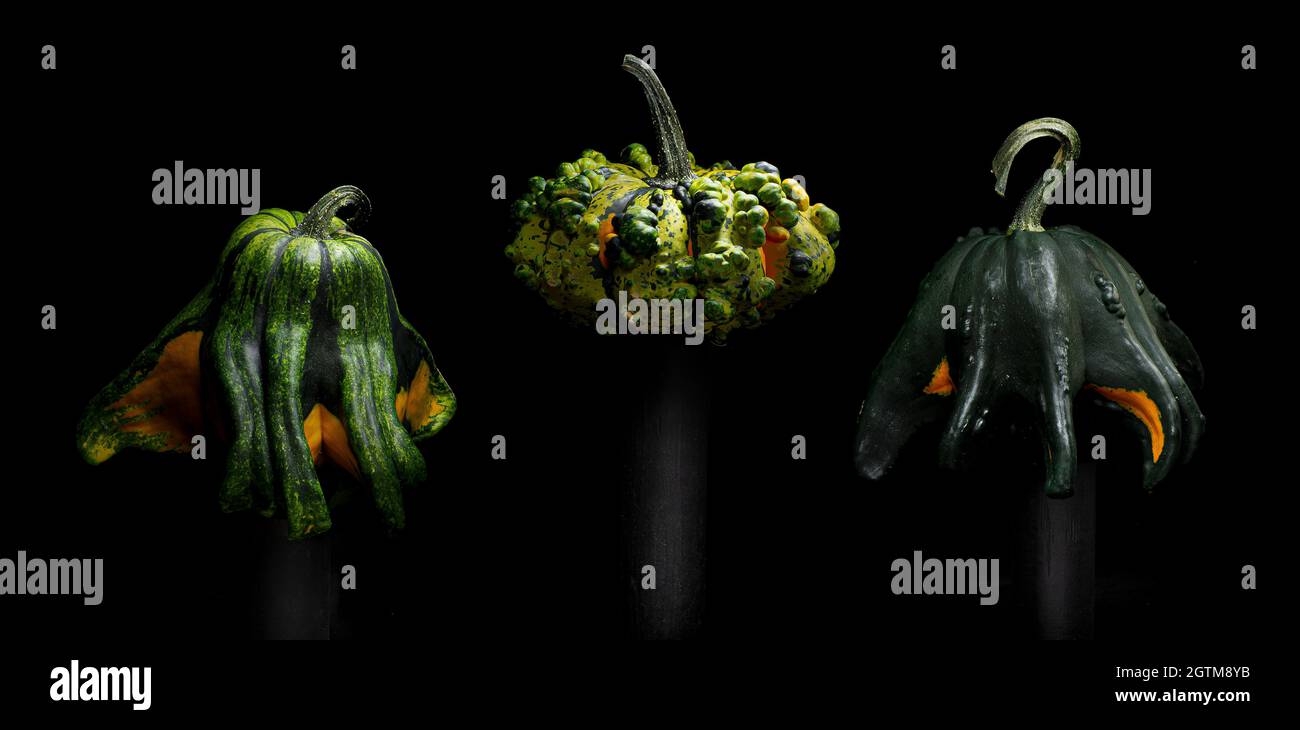 Three gourds hi-res stock photography and images - Alamy