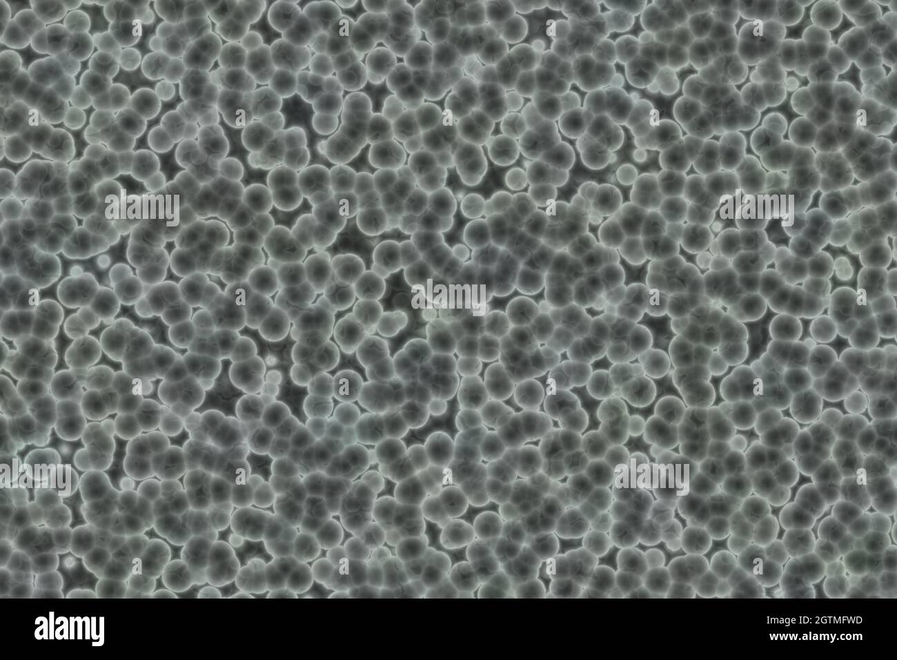 Illustration of a pattern with green particles in white outlines Stock ...