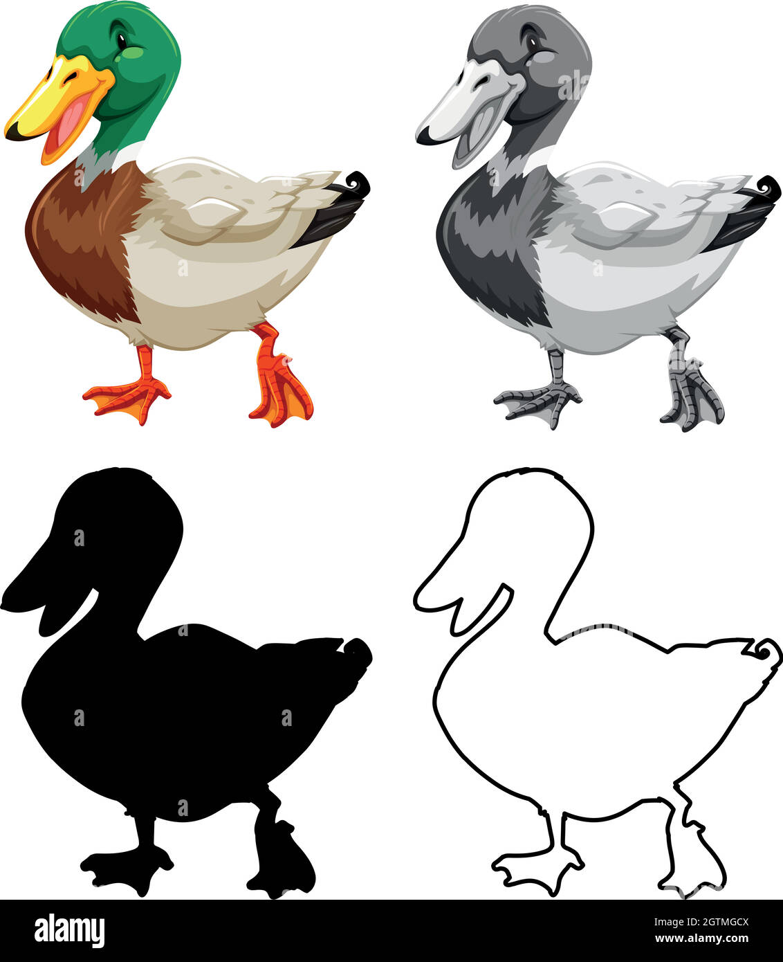 Set of duck character Stock Vector Image & Art - Alamy