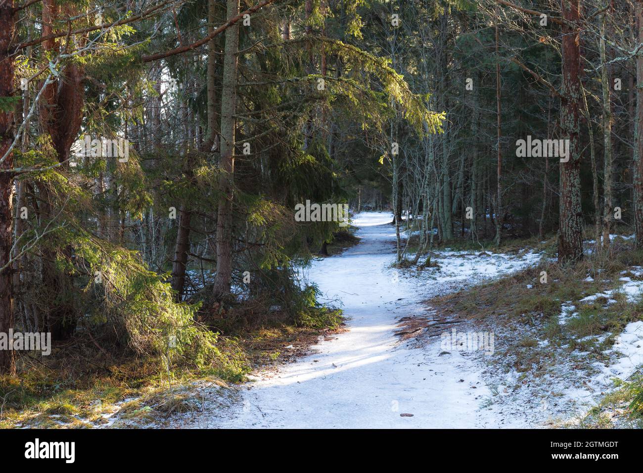 Abitibi hi-res stock photography and images - Alamy