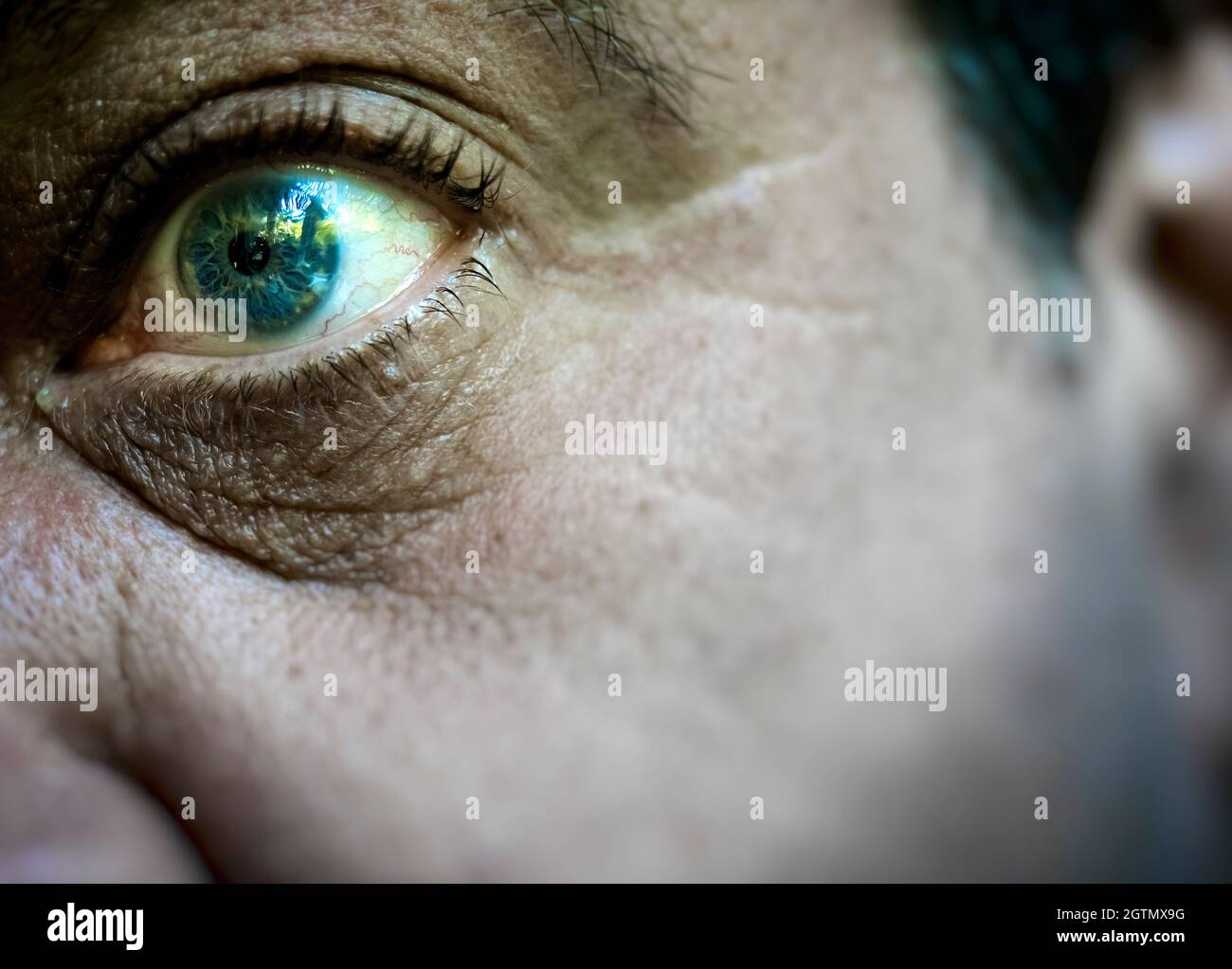 Human eyelid High Resolution Stock Photography and Images - Alamy