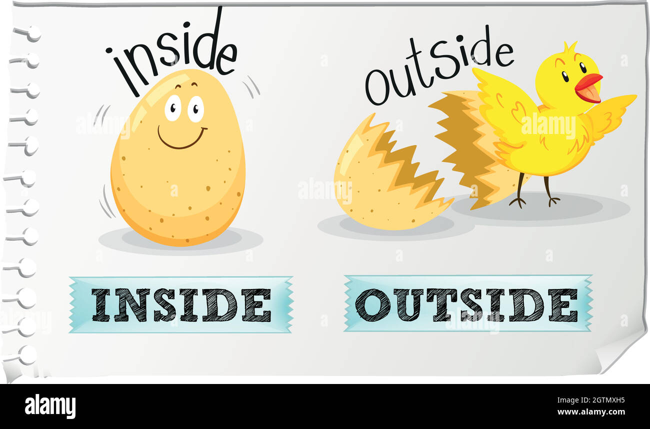 Inside the egg Stock Vector Images - Alamy