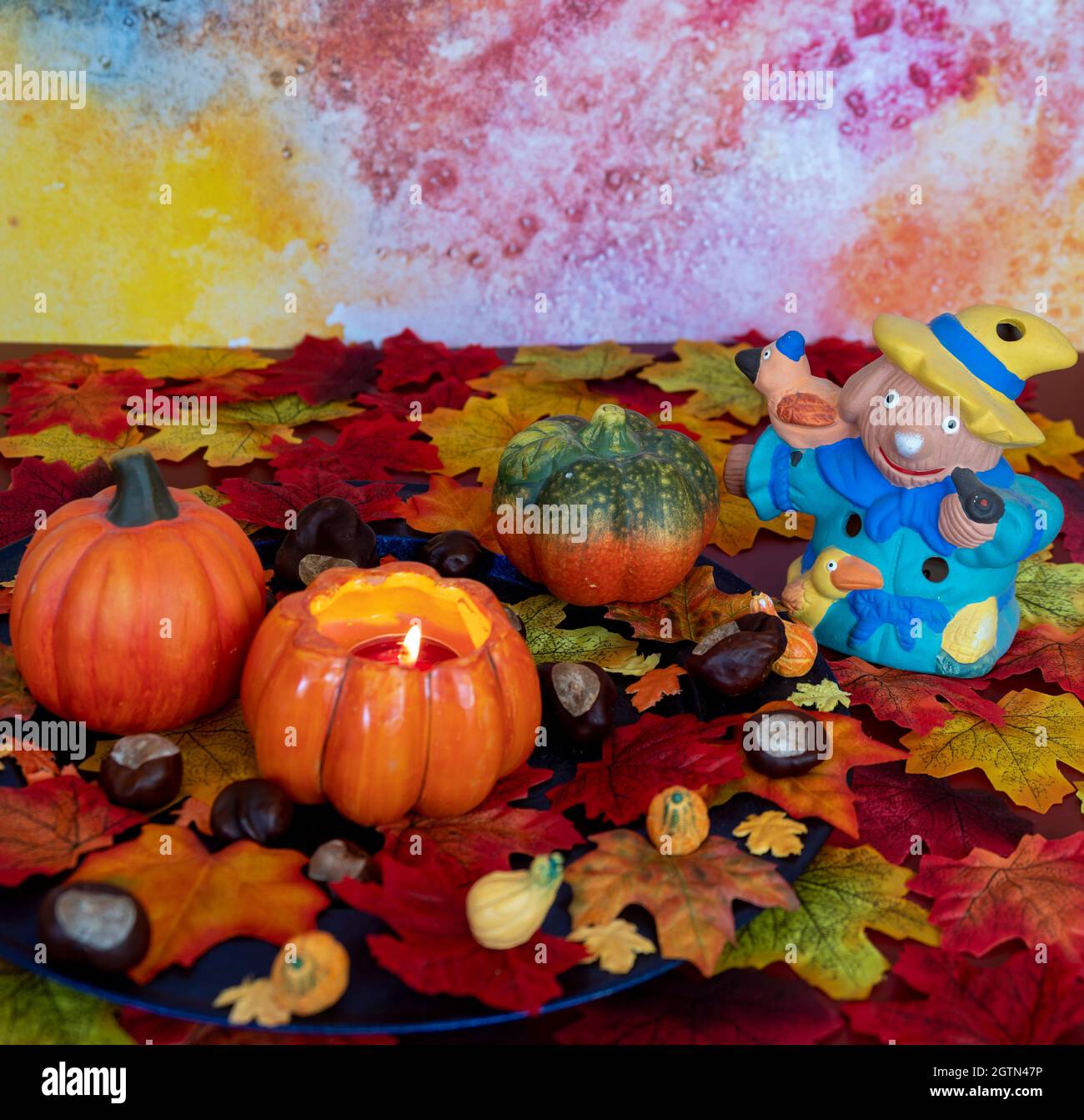 Colorful and autumn Halloween decoration with leaves, pumpkins, a ...