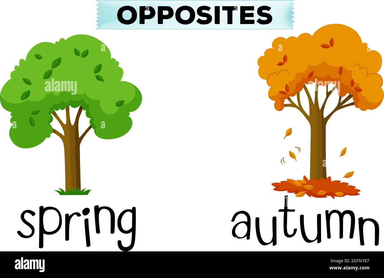Opposite leaves Stock Vector Images - Alamy