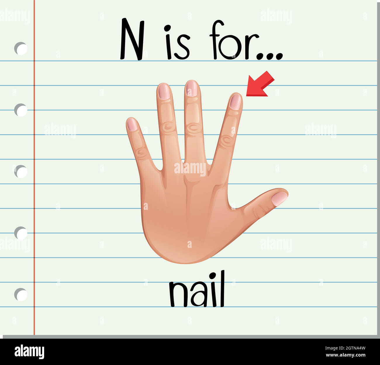 Flashcard letter N is for nail Stock Vector Image & Art - Alamy