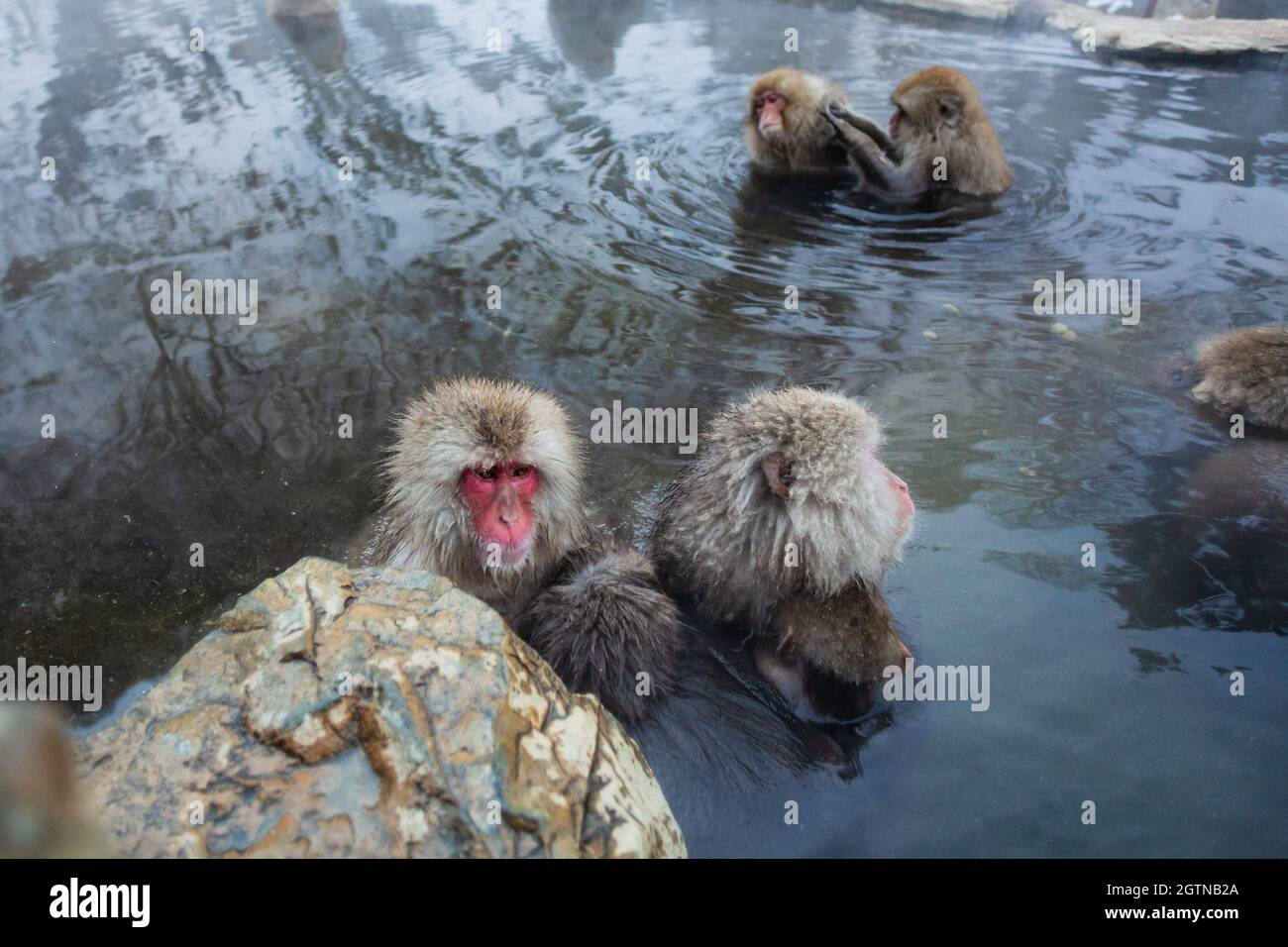 Onsen at rock bath hi-res stock photography and images - Alamy