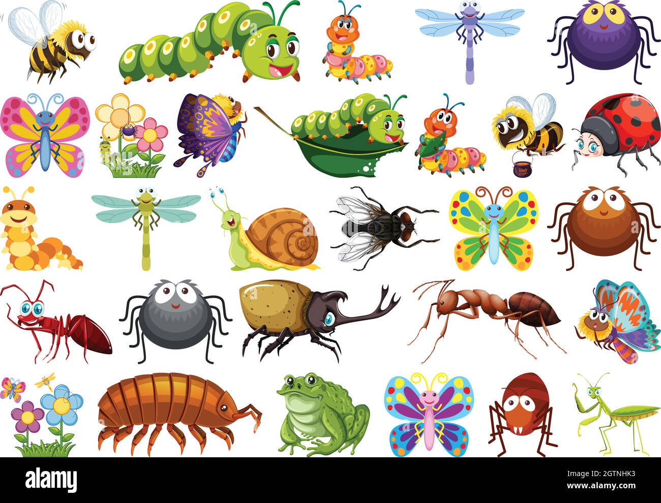 Set of insects white background Stock Vector Image & Art - Alamy