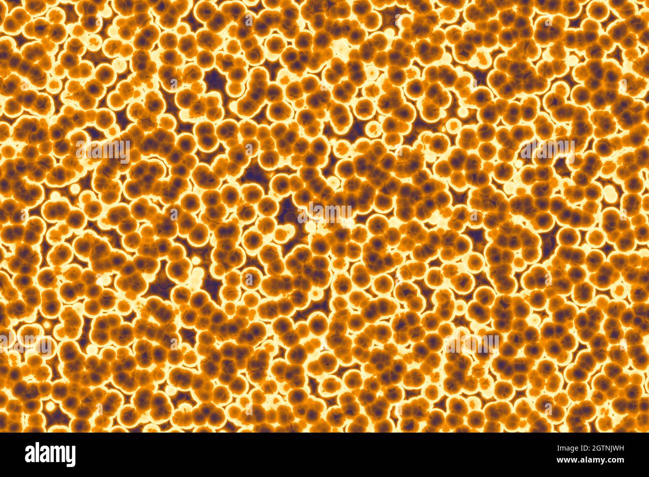 Yellow outlines hi-res stock photography and images - Alamy