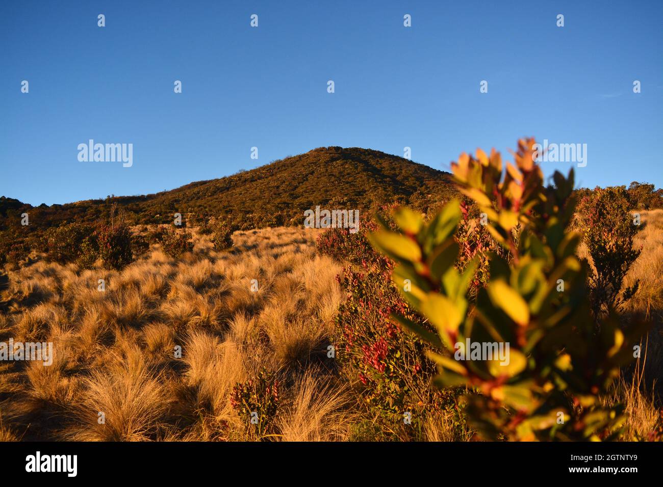 Mount lawu hi-res stock photography and images - Alamy
