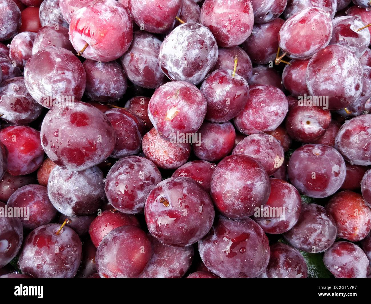 Falsa hi-res stock photography and images - Alamy