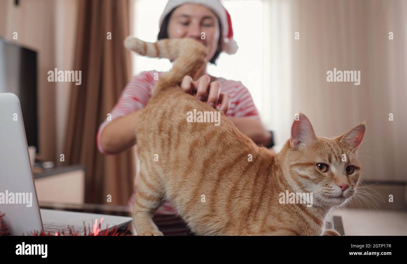Asian woman and cute cat enjoy celebrating and waving in party via ...