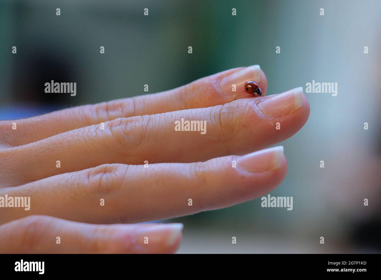 Human fingerprint microscope hi-res stock photography and images - Alamy
