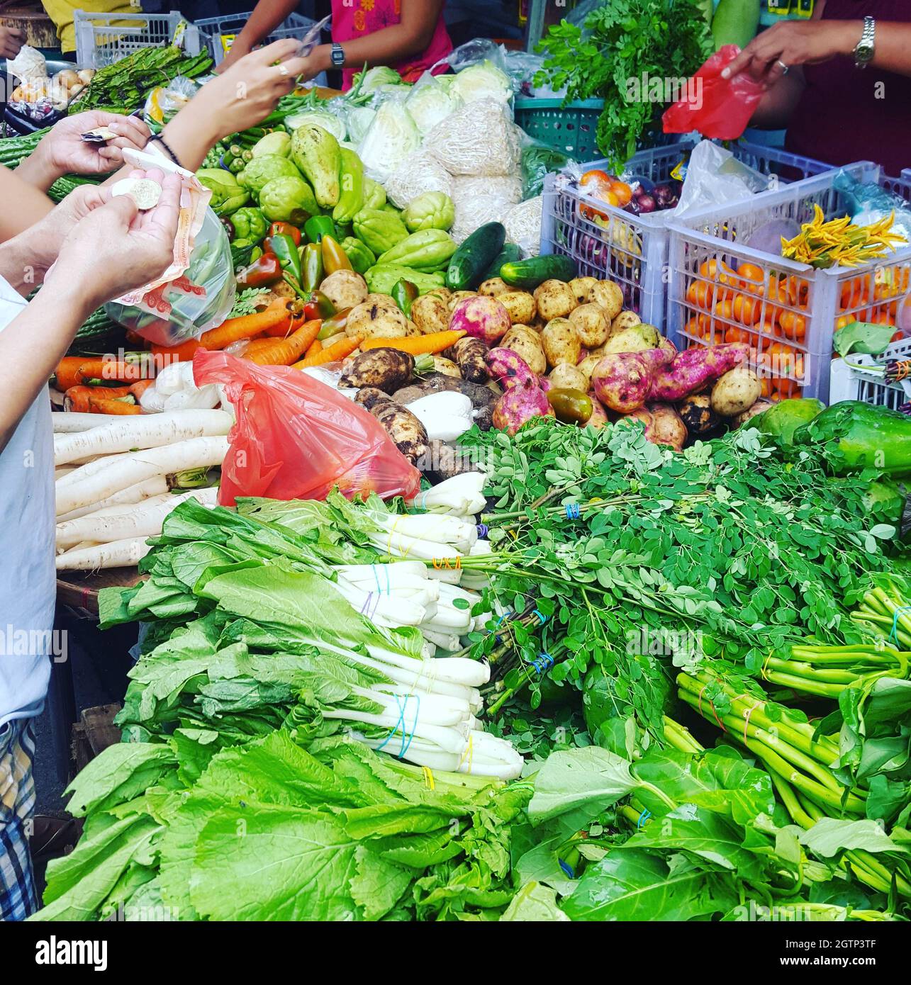 Daily wellbeing hi-res stock photography and images - Alamy