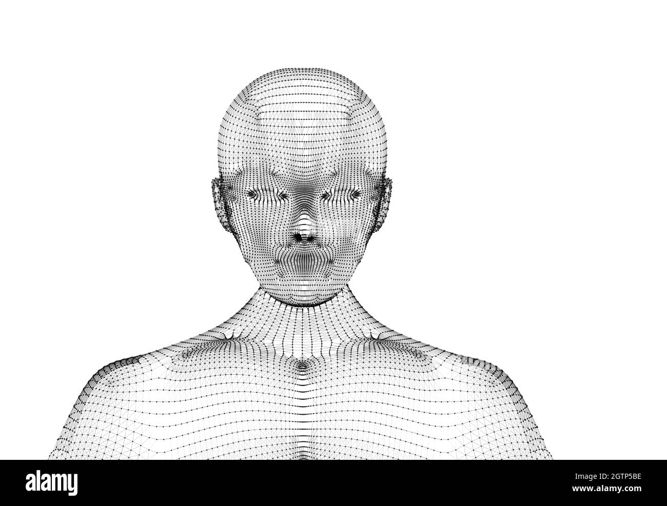 Human Head And Wire Frame High Resolution Stock Photography and Images ...