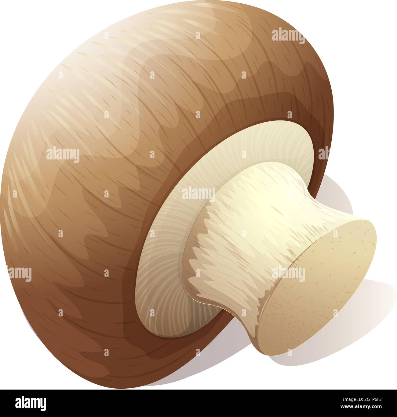 Single mushroom on white Stock Vector Image & Art - Alamy