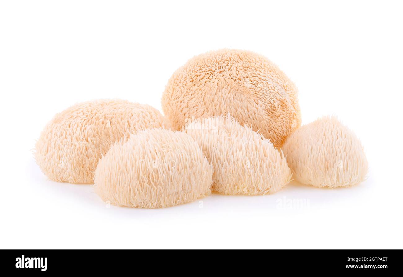 Powder puffs hi-res stock photography and images - Alamy