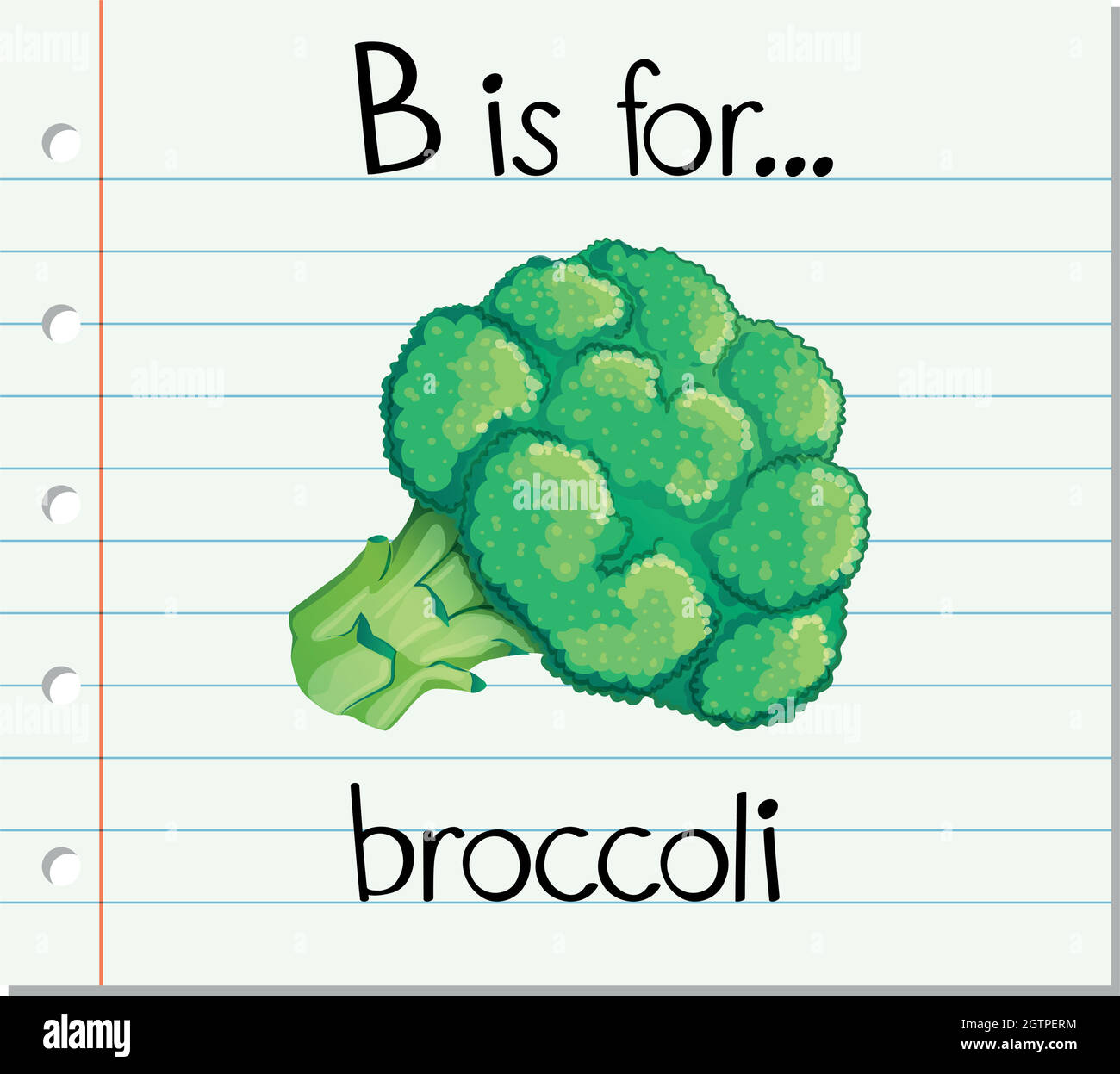 Flashcard letter B is for broccoli Stock Vector Image & Art - Alamy