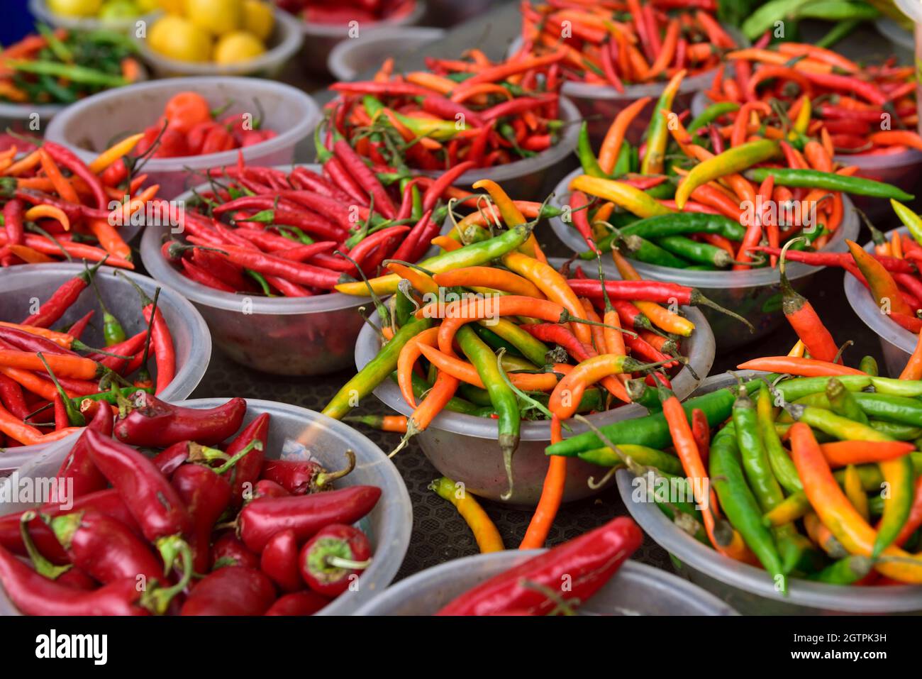 Chilli peppers for sale at market hi-res stock photography and images ...