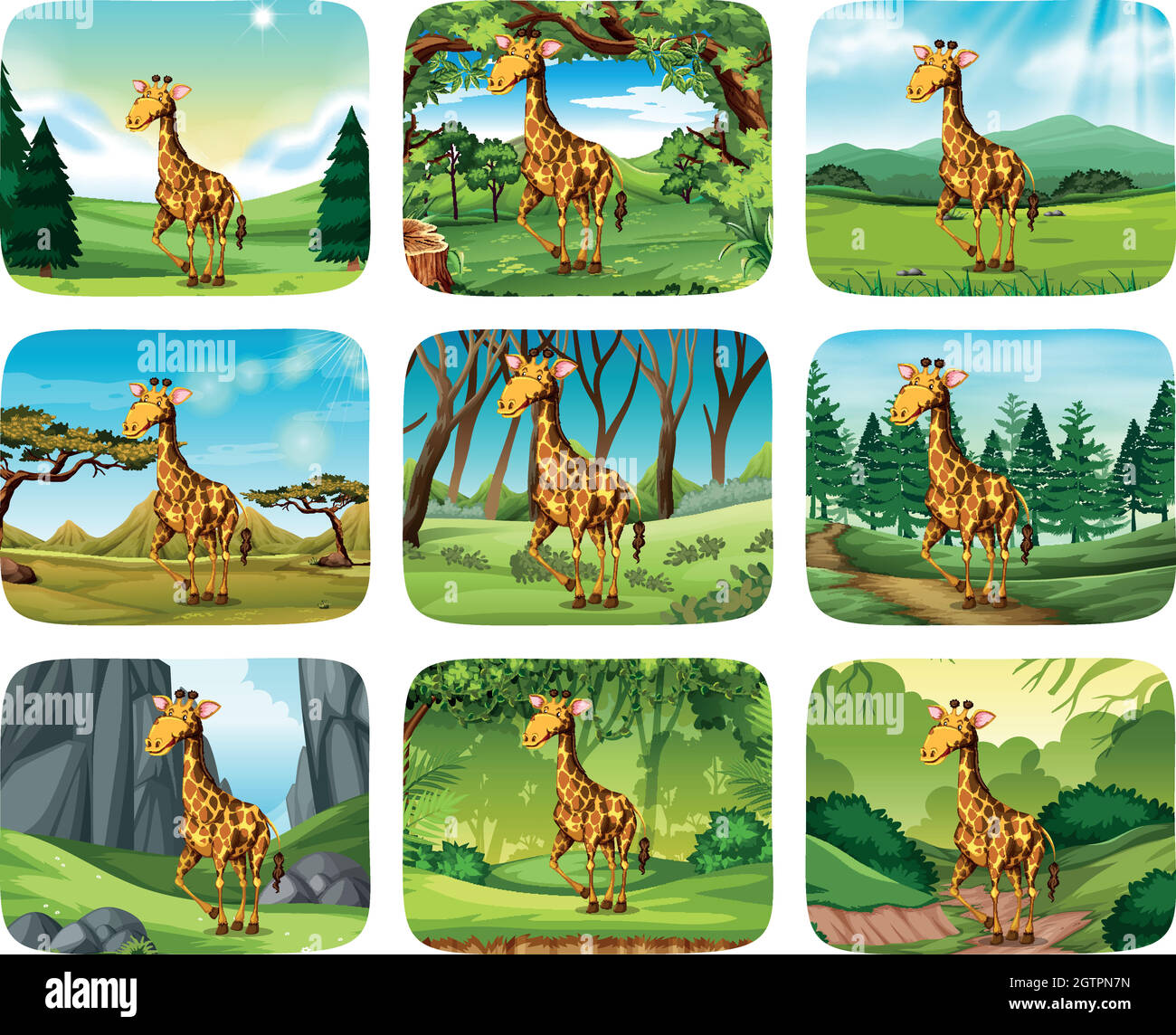 Set of giraffe scenes Stock Vector Image & Art - Alamy