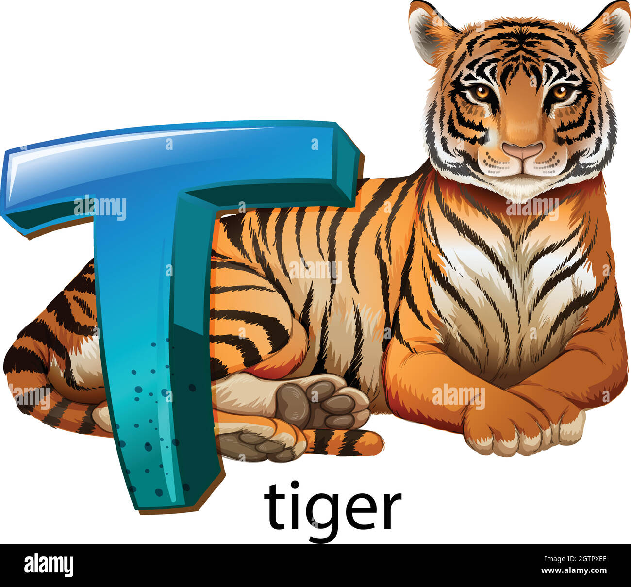 A letter T for tiger Stock Vector Image & Art - Alamy