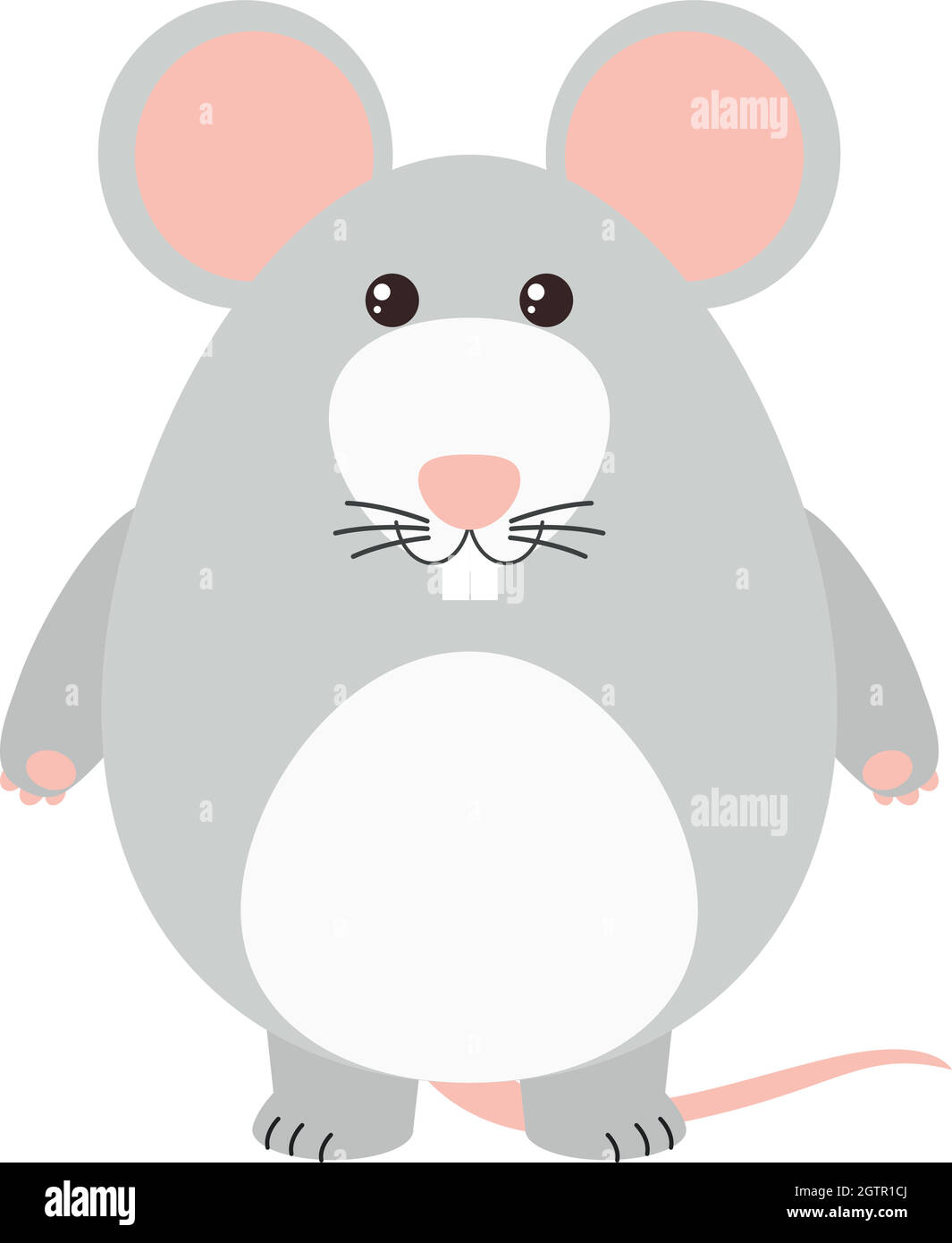 Gray mouse on white background Stock Vector Image & Art - Alamy