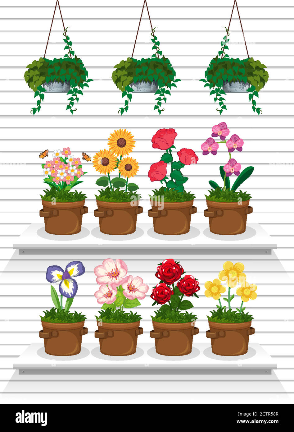 Shelves set Cut Out Stock Images & Pictures - Alamy