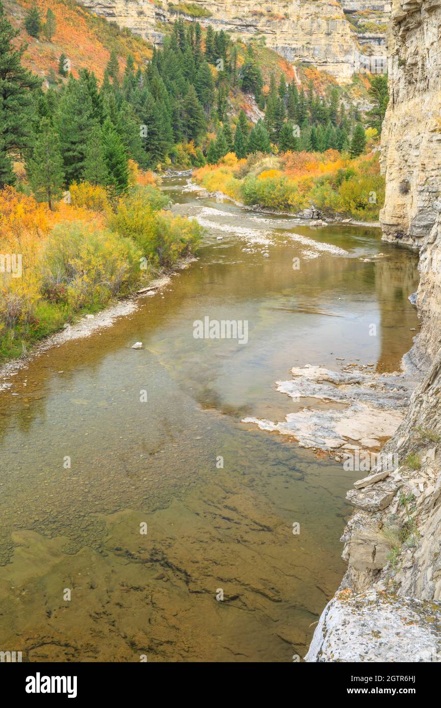 limestone canyon and fall colors along belt creek in sluice boxes state ...