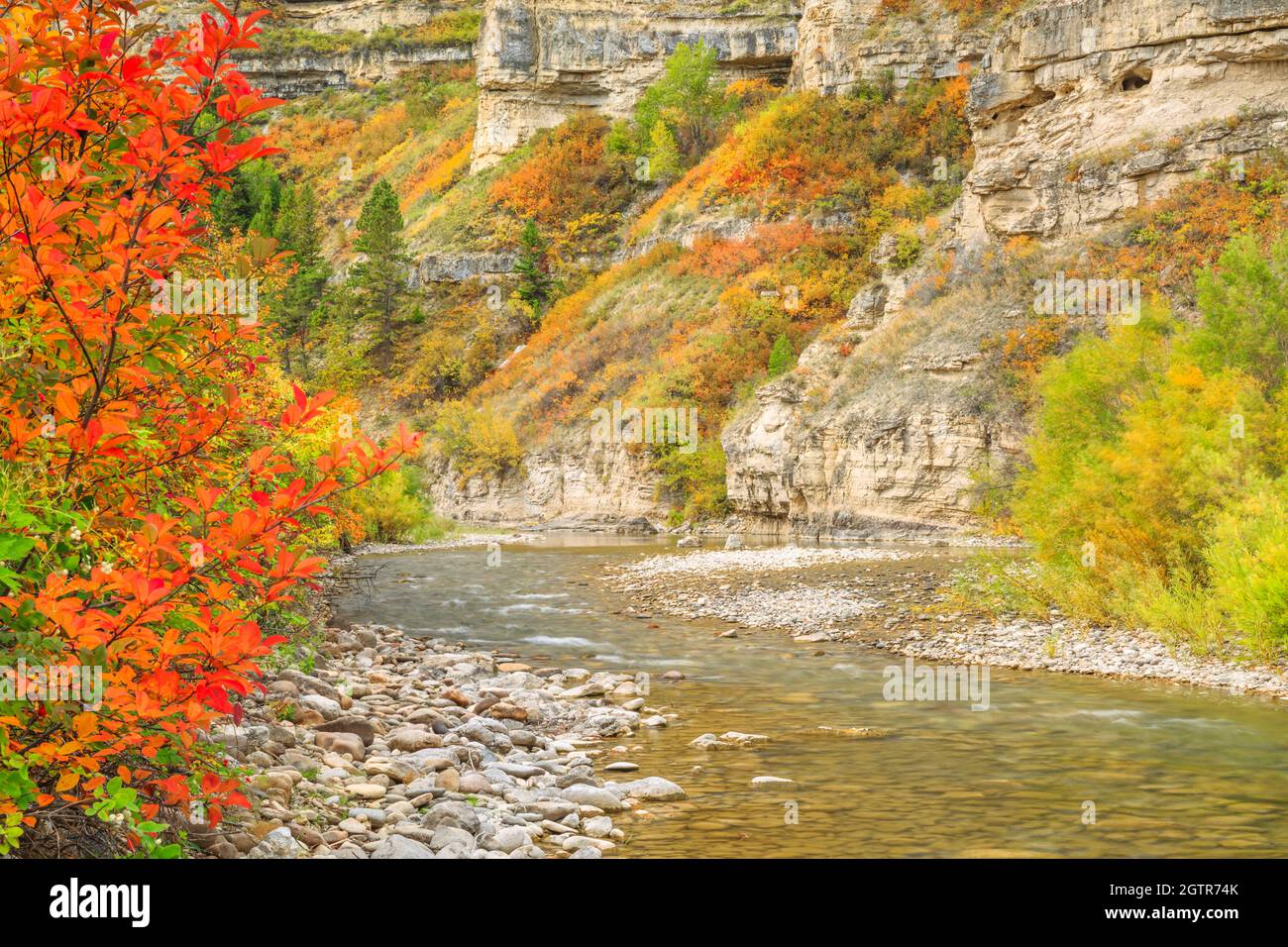 limestone canyon and fall colors along belt creek in sluice boxes state ...