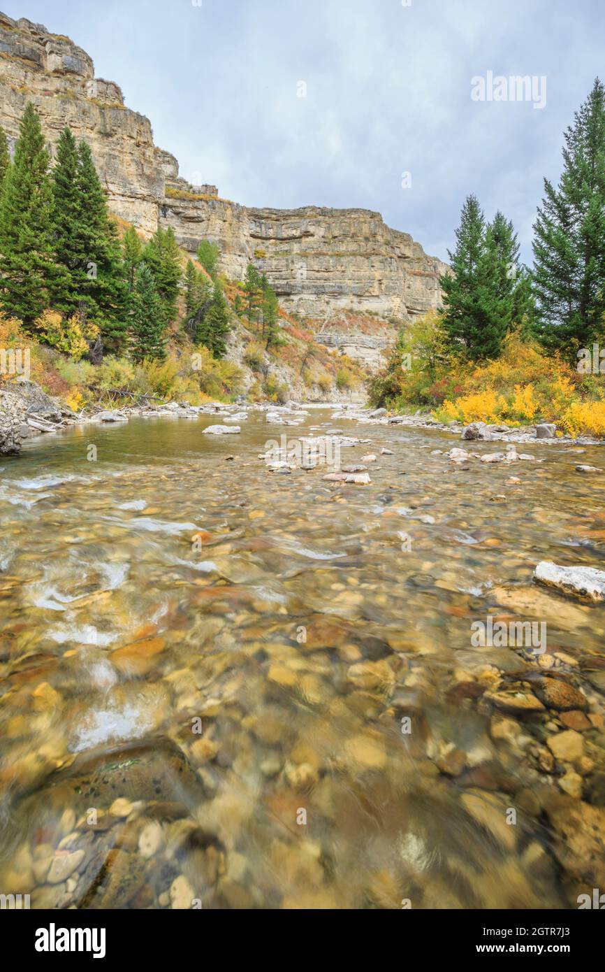 limestone canyon and fall colors along belt creek in sluice boxes state ...