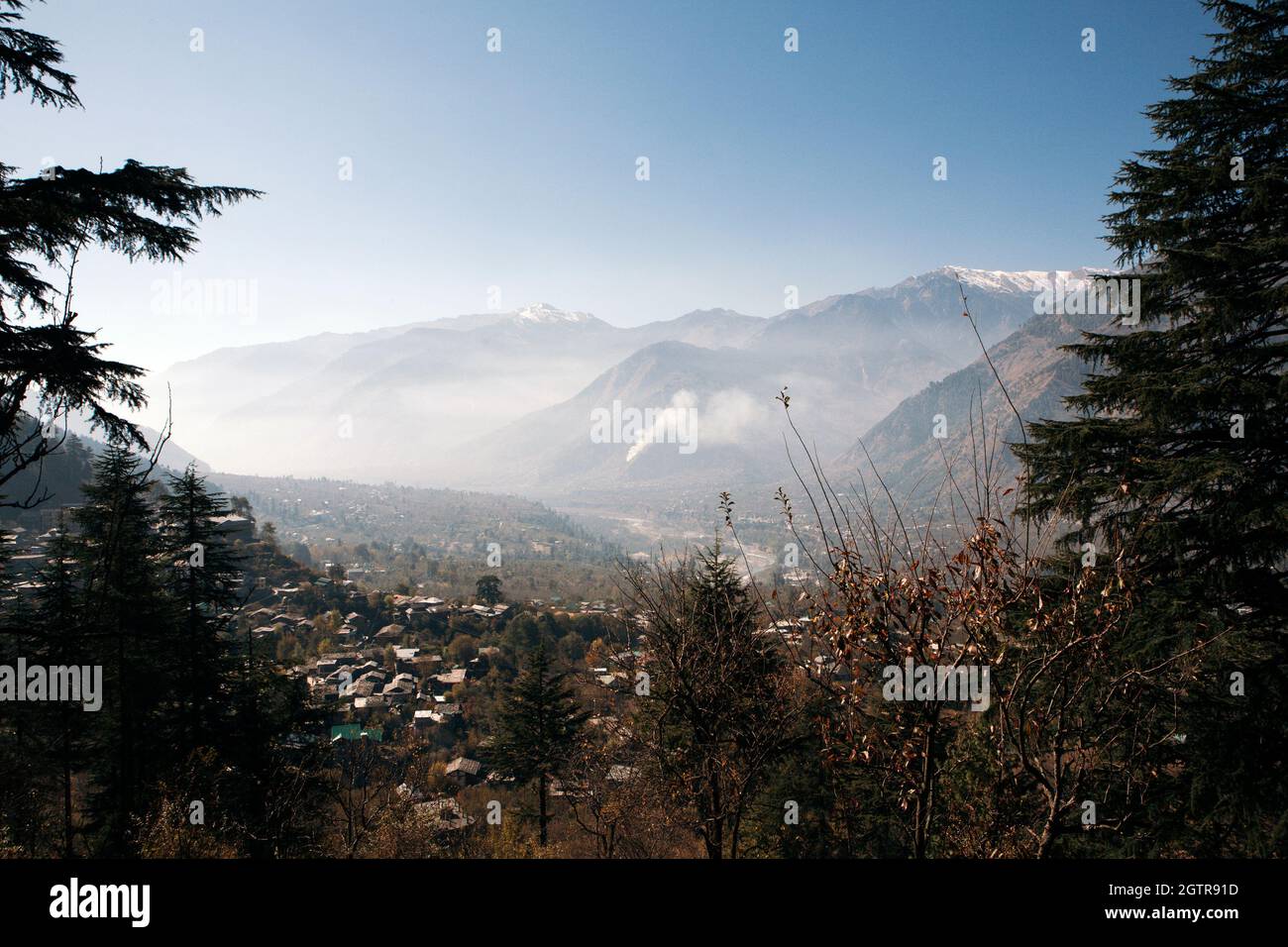 Kulu tree hi-res stock photography and images - Alamy