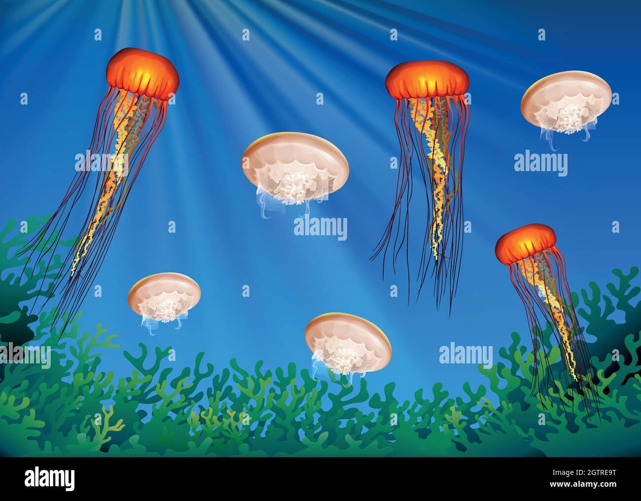 Jellyfish clipart Stock Vector Images - Alamy