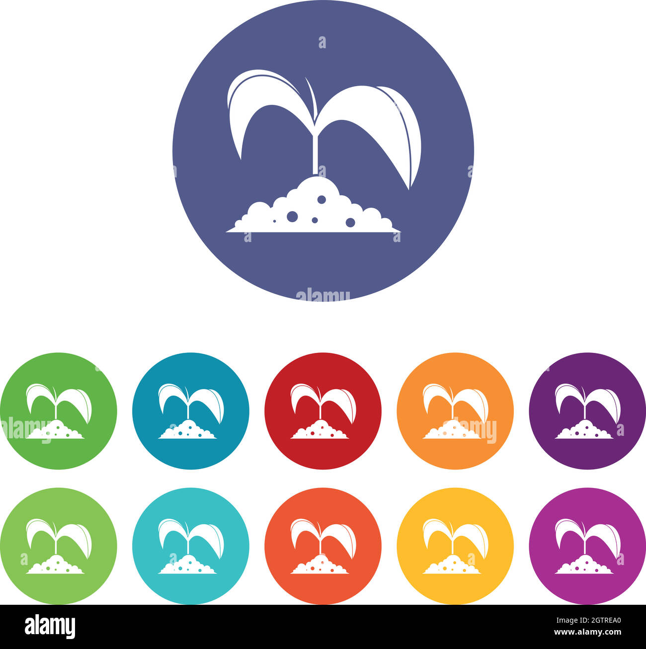 There are some seed in the bud Stock Vector Images - Alamy