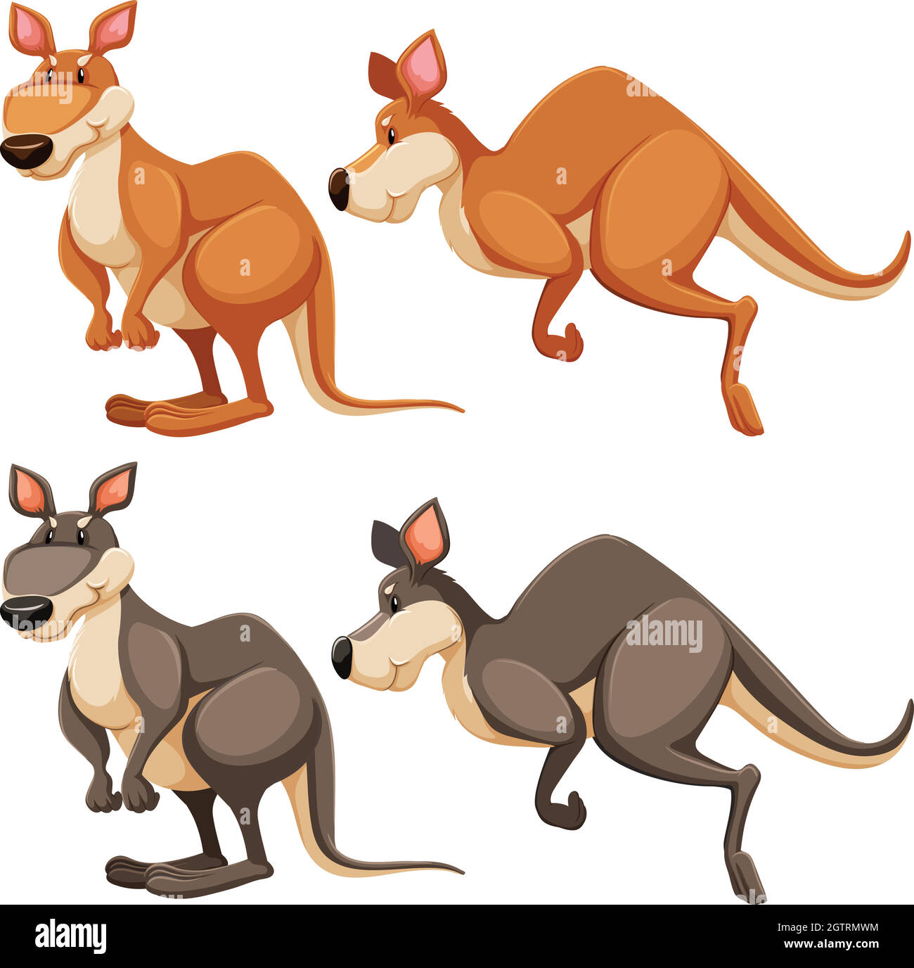 Red kangaroo and joey Cut Out Stock Images & Pictures - Alamy