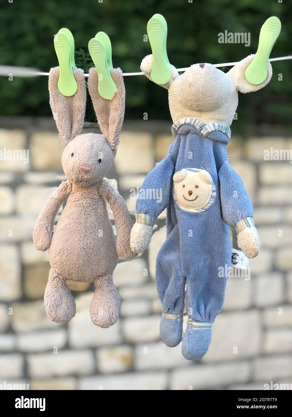 Teddy bear on washing line hi-res stock photography and images - Alamy