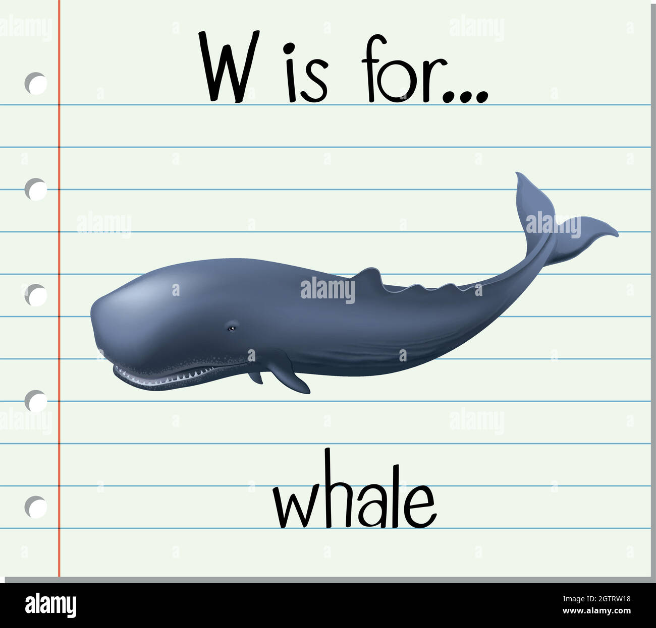 Flashcard letter W is for whale Stock Vector Image & Art - Alamy