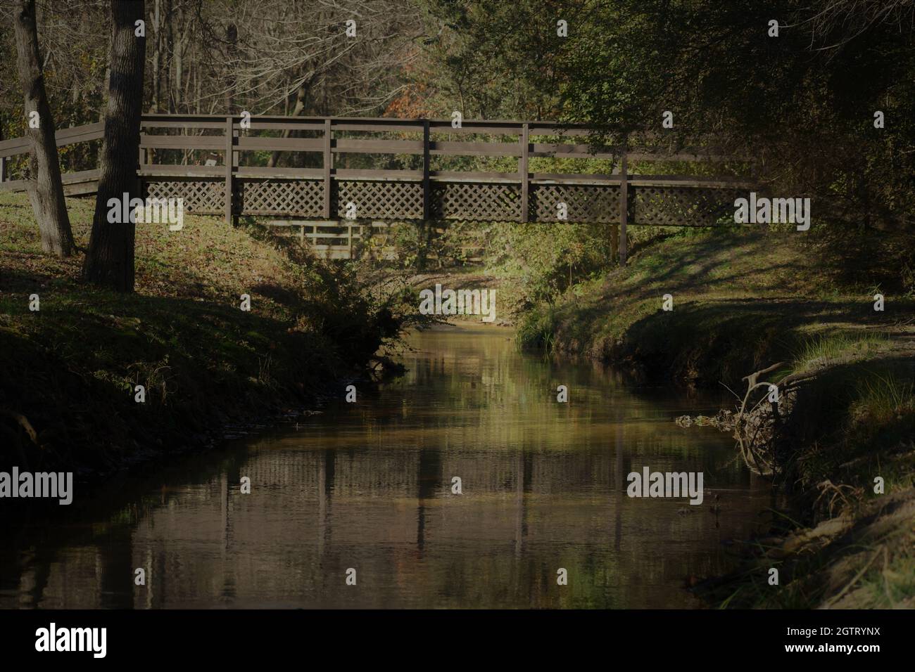 Wooden bridge over the river in a forest Stock Photo - Alamy