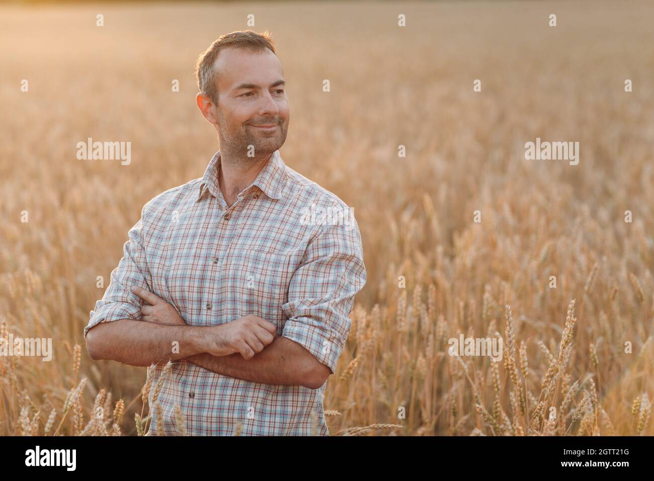 Businessman standing grain field hi-res stock photography and images ...