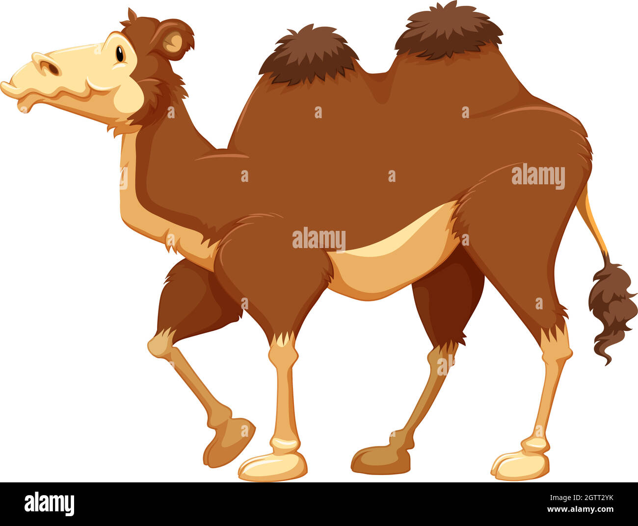Camel side view cartoon hi-res stock photography and images - Alamy