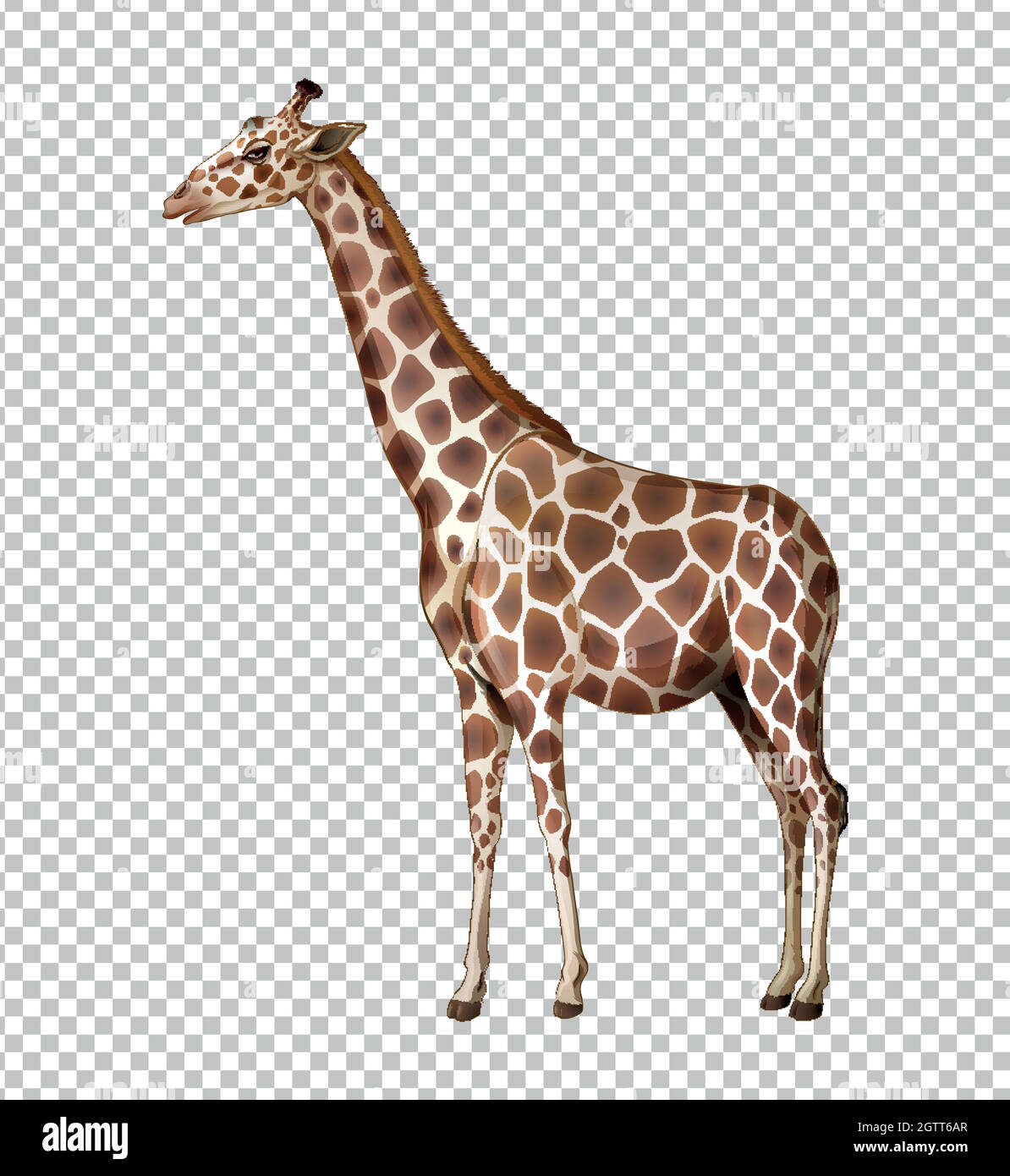 Wild giraffe on transparent background Stock Vector Image & Art - Alamy