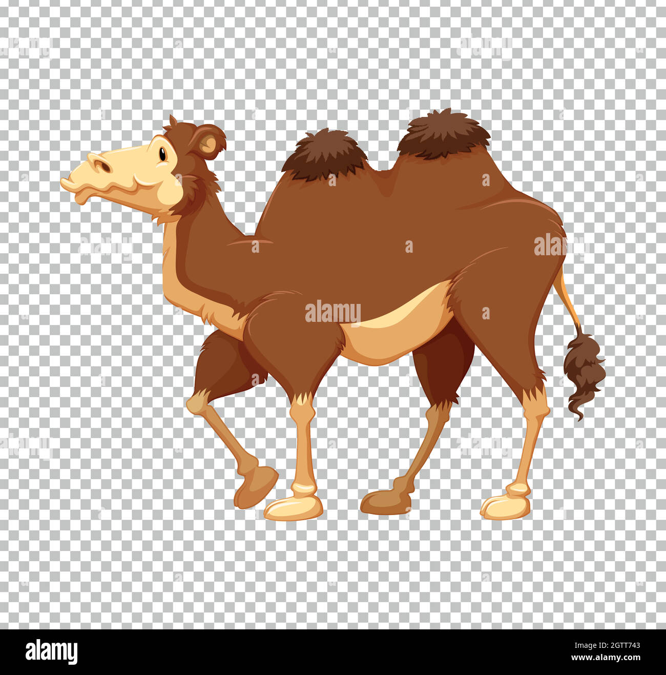 Brown camel on transparent background Stock Vector Image & Art - Alamy