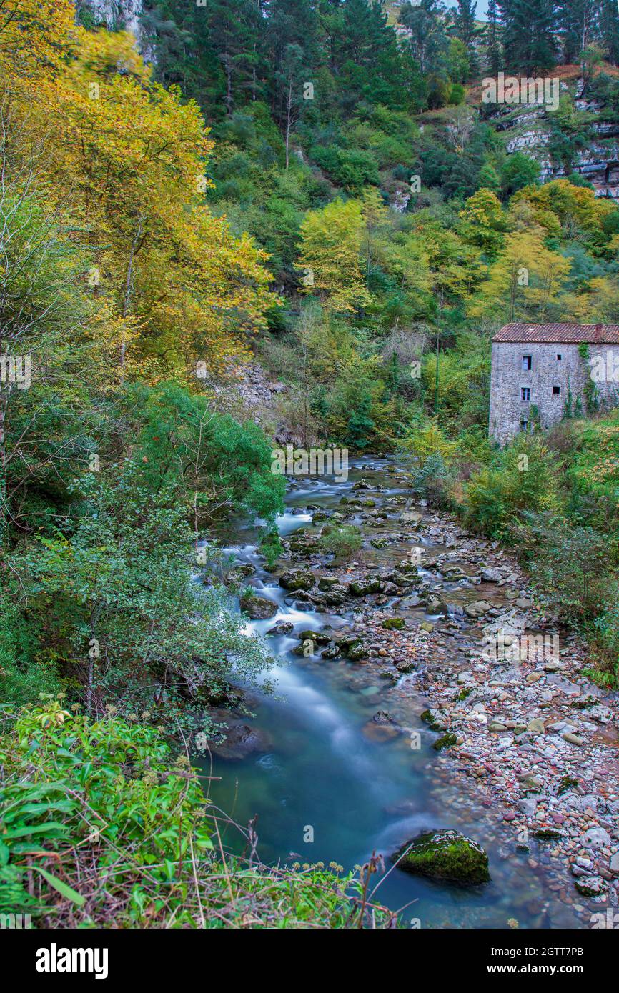 Miera river valley at autumn season.Cantabria Spain Stock Photo - Alamy