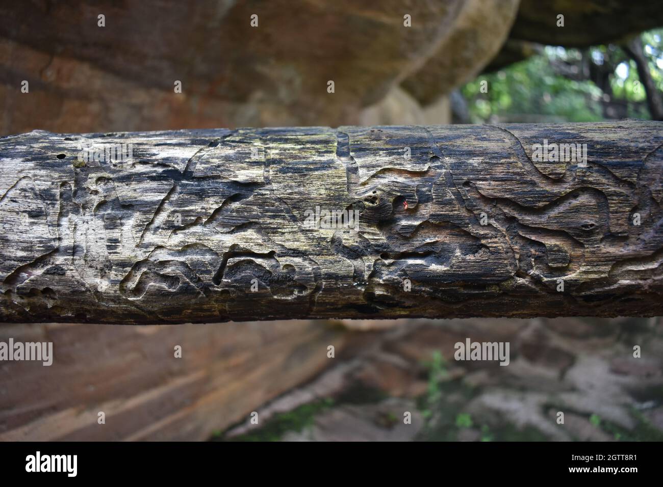 Natural beauty in bhopal madhya pradesh Stock Photo - Alamy